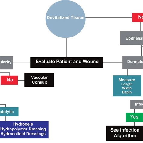 Pdf Components And Quality Measures Of Dime Devitalized Tissue