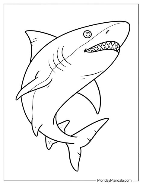 Shark Outline Coloring Great Drawing Pages Printable Whale Sharks