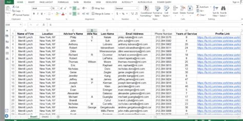 Excel Sheet Data Entry For You By Fizzajabeen Fiverr