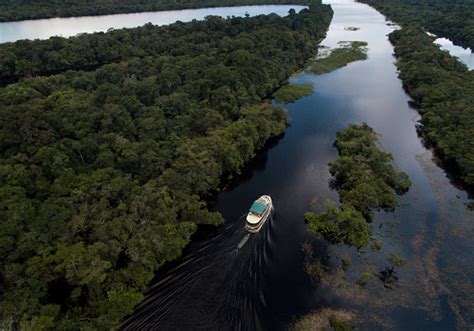Amazon River Pictures Download Free Images On Unsplash