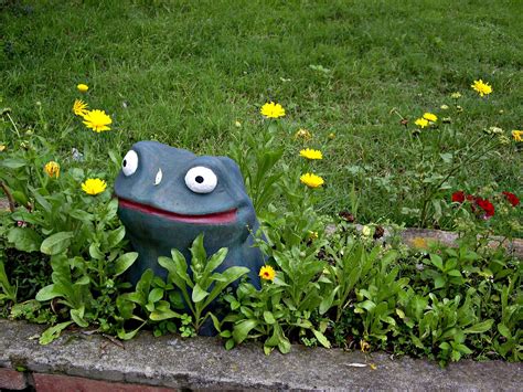 Frog Toad Sculpture Free Photo On Pixabay Pixabay