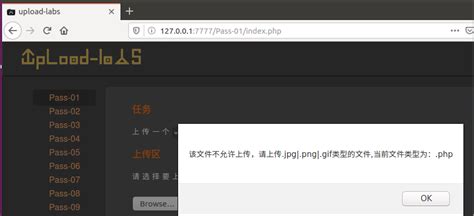 upload labs no timing