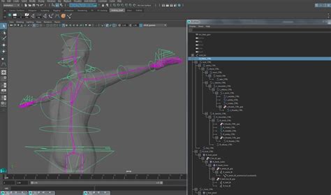 Animatedcreativeandreamcswan Maya Rigging Complete Hierarchy In Outliner