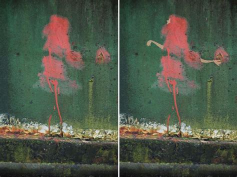 Las Curiosas Caricaturas De Tineke Meirink Fotos Planeta Curioso