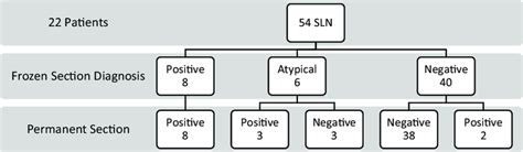 Sentinel Lymph Nodes Sln Sent For Frozen Section Diagnosis Via Download Scientific Diagram