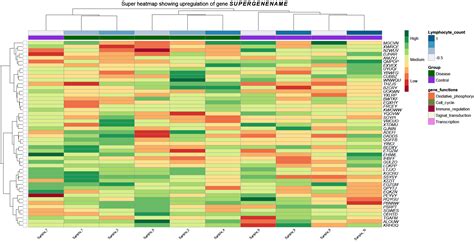 How To Use Italics In Plots In R Easy Tutorial