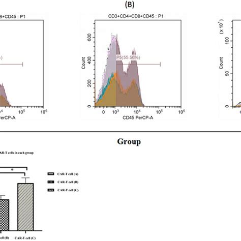 Immunophenotyping Analysis Of Car T Cells After Expansion A Cd45ro