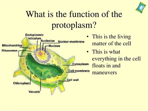 Ppt What Do These All Have In Common Powerpoint Presentation Free