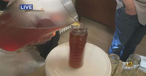 Wheres Marty Learning About The Bees Wiggle Dance As They Work To Make Honey Cbs Baltimore