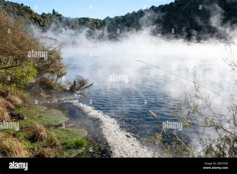 Frying Pan Lake Waimangu Volcanic Rift Valley New Zealand Is The