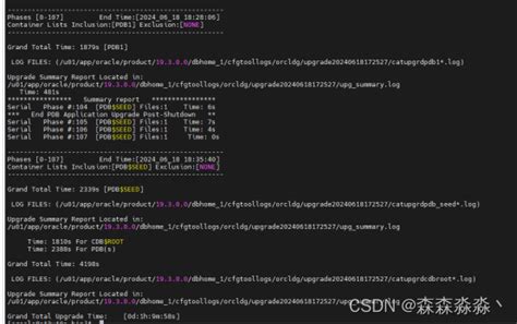 oracle12c到19c adg搭建（五）dg搭建后进行切换19c进行数据字典升级 演练切换 19c csdn博客