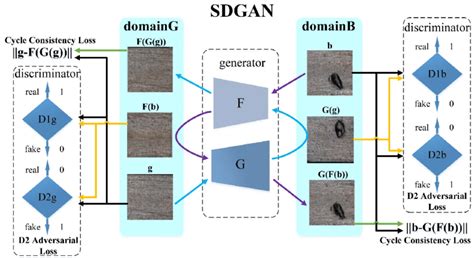 Architecture Of The Sdgan Which Contains Six Networks Two Generators Download Scientific