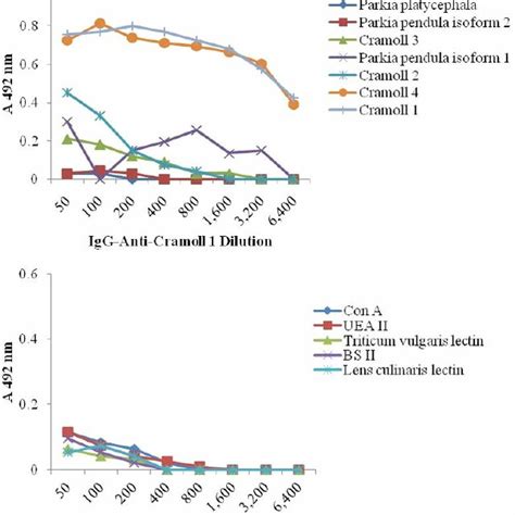 Pdf Lectins Function Structure Biological Properties And Potential Applications