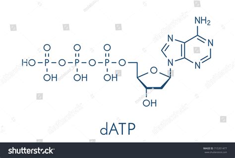 Deoxyadenosine Triphosphate Datp Nucleotide Molecule Dna Stock Vector Royalty Free 715351477