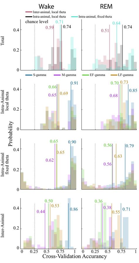 Figures And Data In Sub Second Dynamics Of Theta Gamma Coupling In Hippocampal Ca1 Elife