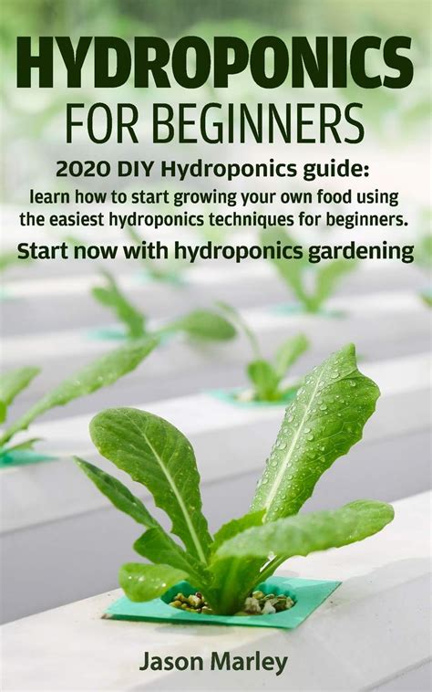 Hydroponics For Beginners 2020 Diy Hydroponics Guide Learn How To Desertcart India
