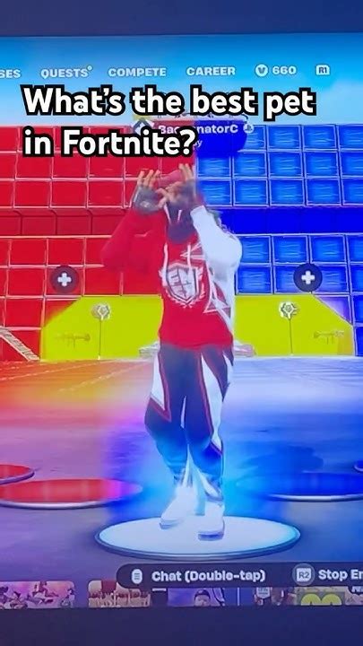 Whats The Best Pet In Fortnite Youtube
