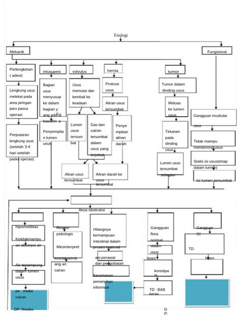 Pdf Pathway Ileus Pdf