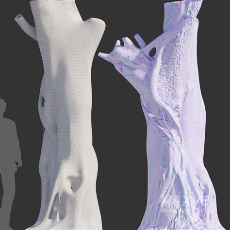 Ficus Tree Trunk 07 3d Model Download Maxve