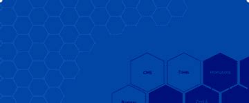 Low Code Rapid Native Mobile App Development Platform WaveMaker