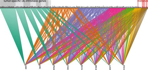 Upregulated Gene Expression Levels Among Cancers A Violin Plot Is