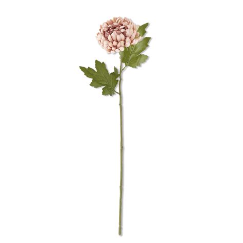 Light Pink Mum Stem Blue Dahlia Designs