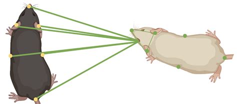 feature extraction methods — simba 0 0 2 documentation