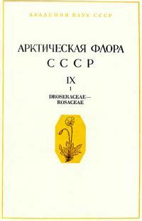 Арктическая флора СССР. Выпуск 9. Часть 1 (ред. Юрцев Б. А.) | Растения ...