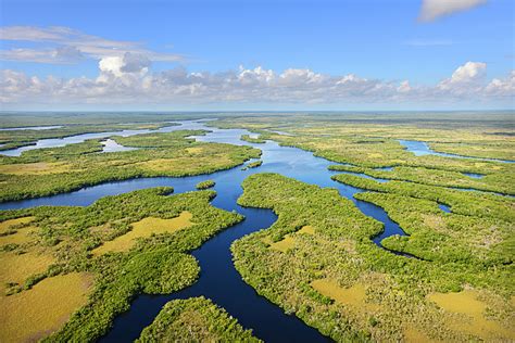 The Everglades Wetlands Introduction To Sustainability Science