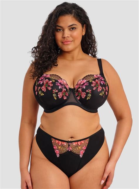 Elomi Bras Australia Full Figure Bra Up To K Cup Page