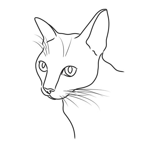 Vector Black Line Drawing Of A Cat Outline On A White Background
