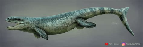 Dakosaurus Andiniensis By Mariolanzas On Deviantart