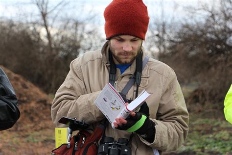 Getting Started In Bird Watching Guide For Begginers Bird Buddy Blog