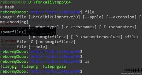 Ctf杂项 文件类型识别、分离、合并、隐写binwalk 合并文件 Csdn博客 Ctf杂项 文件类型识别、分离、合并、隐写binwalk 合并文件 Csdn博客