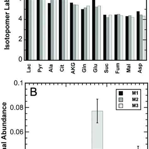 Experimental Setup For The Parallel Labeling Experiments For Each Of Download Scientific