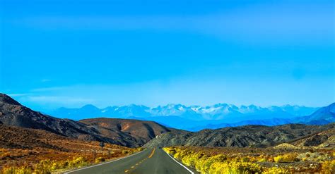 Solution How To Query For An Empty Taxonomy Field All4wordpress