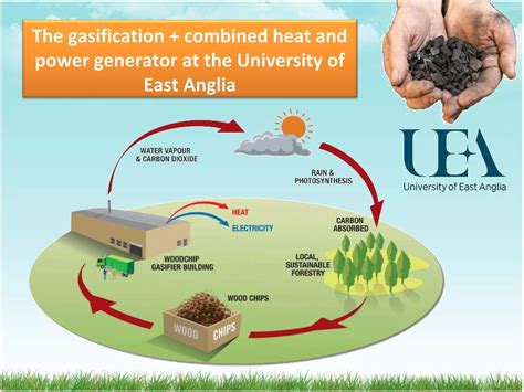 Biochar Root Growthandrhizospherecommunities Linkedi Ppt