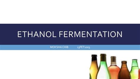 Ethanol Fermentation Pptx