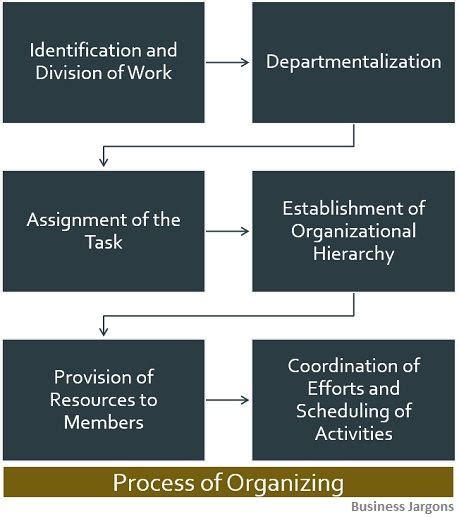 What Is Organizing Definition Characteristics Process And Importance