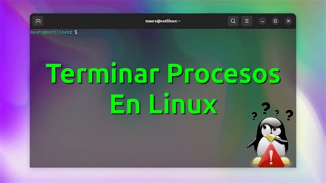 ¿cómo Usar El Comando Find En Linux