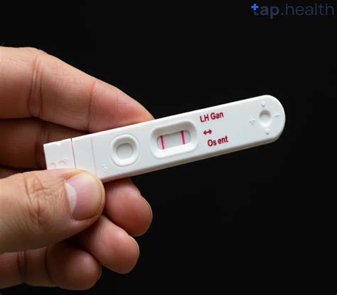 Can Lh Test Detect Pregnancy Heres Everything You Need To Know