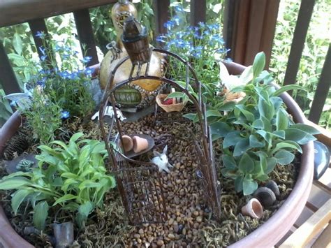 Miniature Hosta Fairy Garden