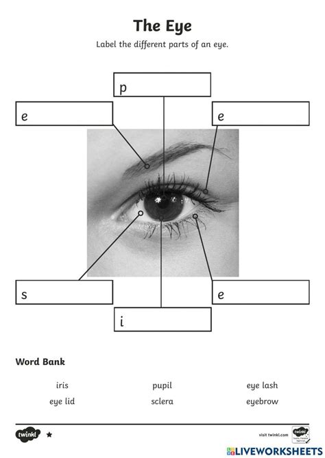 Eye Labelling 5025229 Moniza Live Worksheets