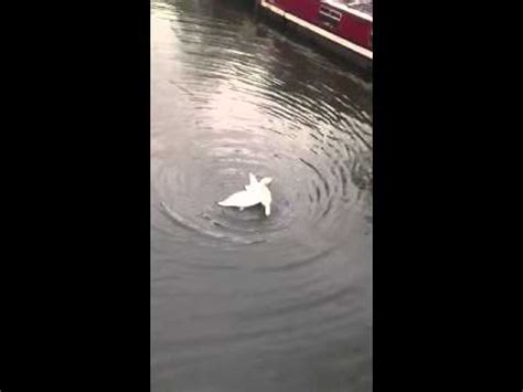 Lets Take A Shower Shower Together Youtube