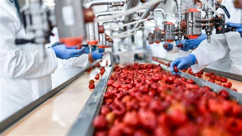 Could Crispr Genome Editing Technology Impact Your Business