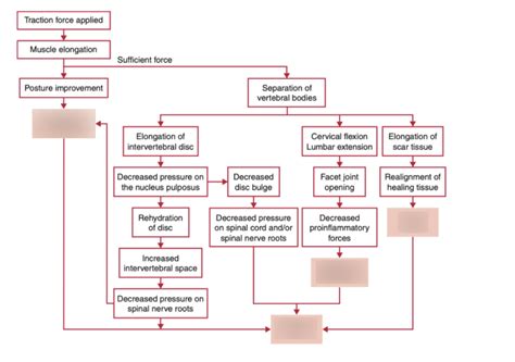 Traction Flowchart Terminal Effects Diagram Quizlet