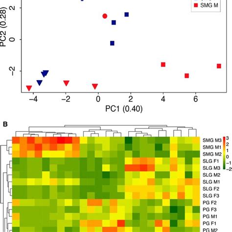 2d‐fpkm Scatterplot Of Sex‐wise Differential Gene Expression In Murine