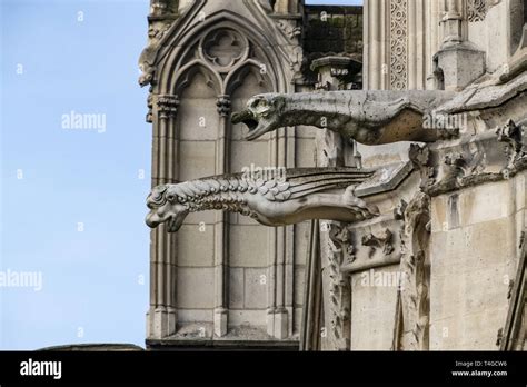 Purpose Of Gargoyles In Gothic Architecture At Lucas Hampton Blog
