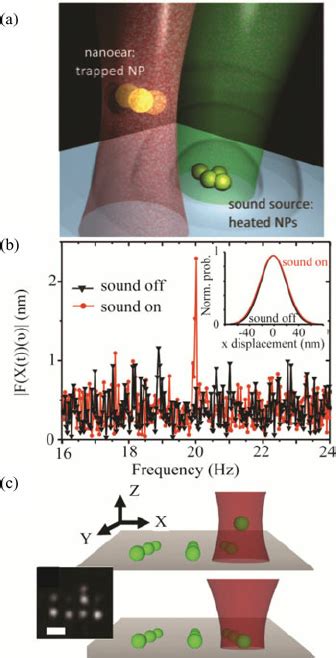 Future Applications Of Optical Trapping Of Nanoparticles A B A Download Scientific Diagram