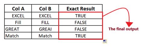 Excel Exact Function Easy Excel Tips Excel Tutorial Free Excel